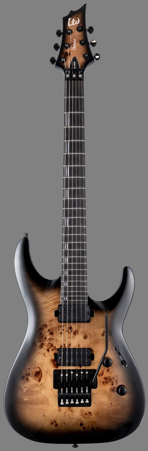 ESP/LTD Guitars - Mitchell's Piano Gallery